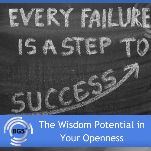 The Wisdom Potential of Your Openness - BG5® Business Institute